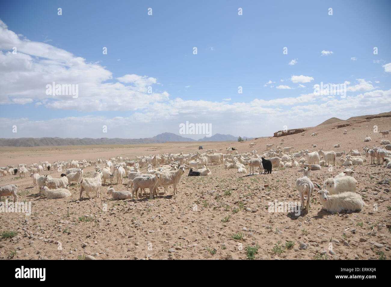 Autonomous prefectures hi-res stock photography and images - Alamy