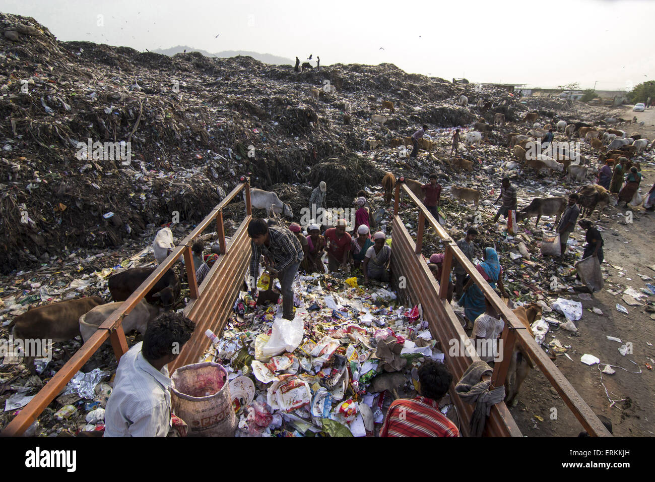 June 4, 2015 - Guwahati, Assam, India - Indian rag-pickers look for ...
