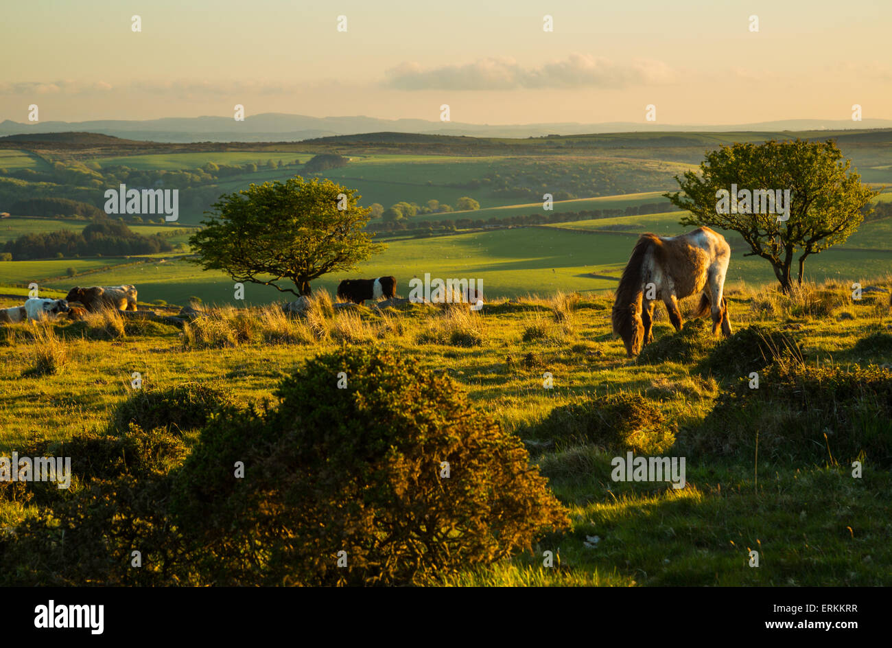 Cornwall moors hi-res stock photography and images - Alamy