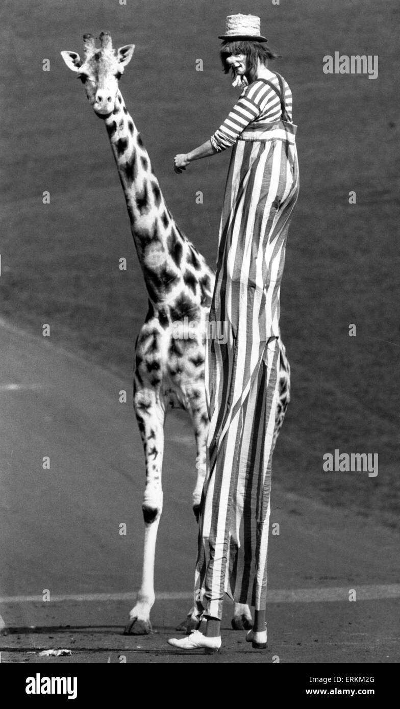 Sophie giraffe Black and White Stock Photos & Images - Alamy