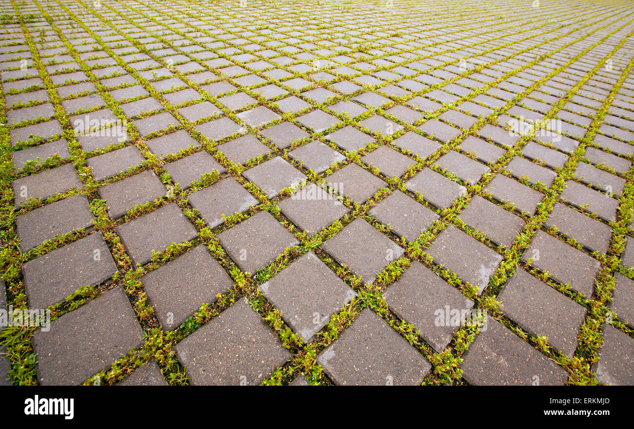 Grass between paving slabs hi-res stock photography and images - Alamy