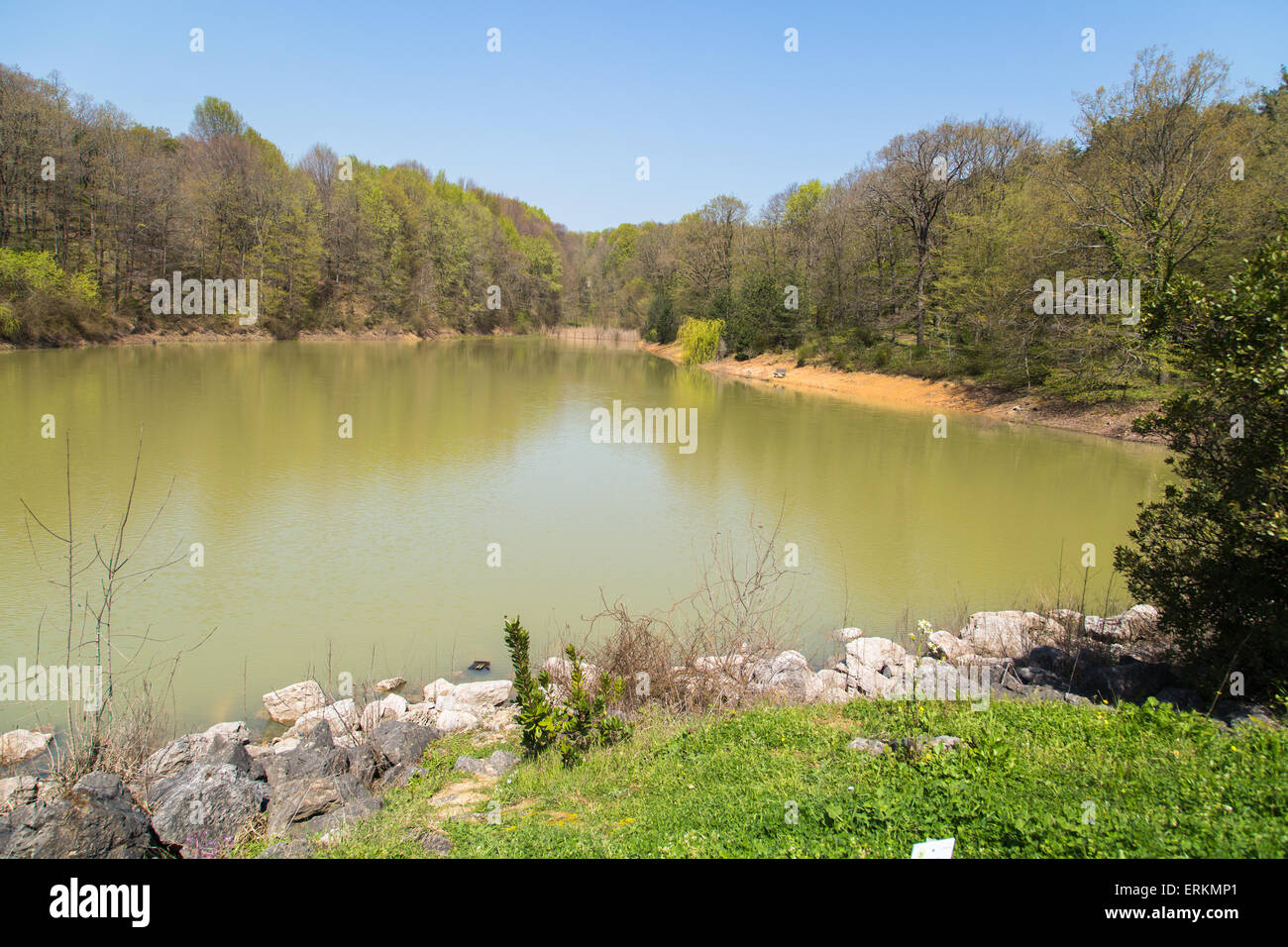 Lake among trees, river in forest Stock Photo - Alamy