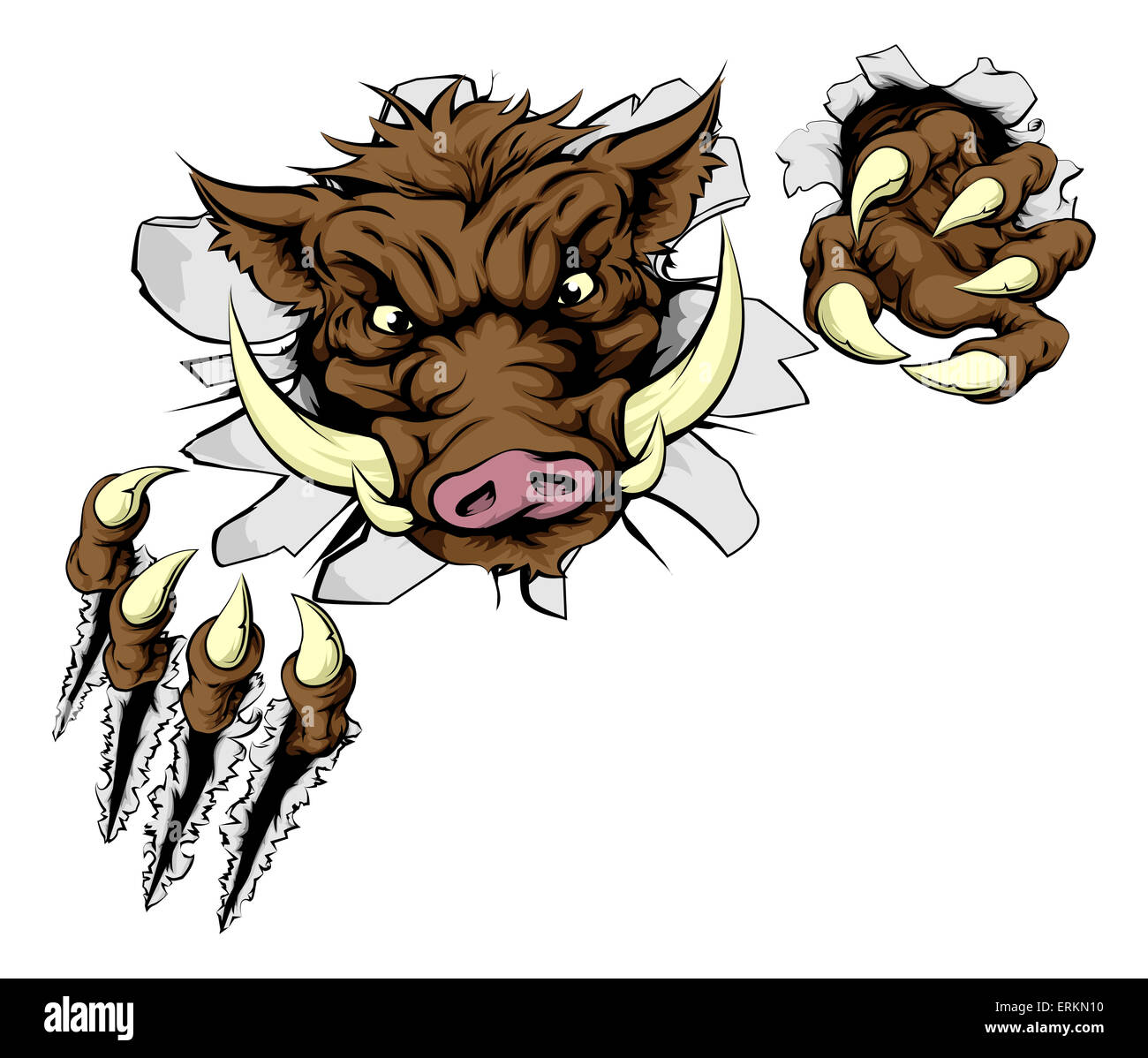 Cartoon pig scratch hi-res stock photography and images - Alamy