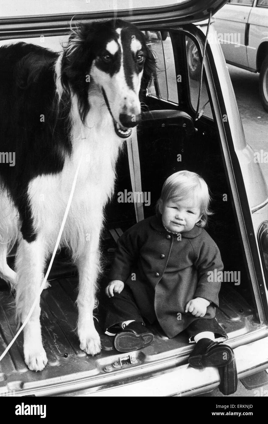 14 month old Rachel Duckworth looks in awe at the family pet which just ...
