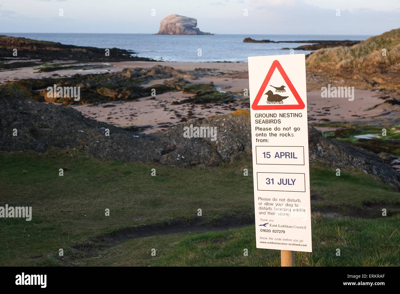 Nesting birds warning sign hi-res stock photography and images - Alamy