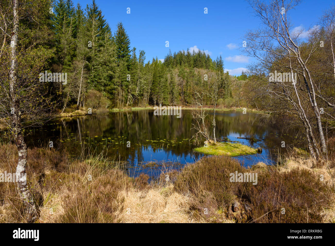 Lochan na Dunaich, near Salen, Ardnamurchan Peninsula, Lochaber ...