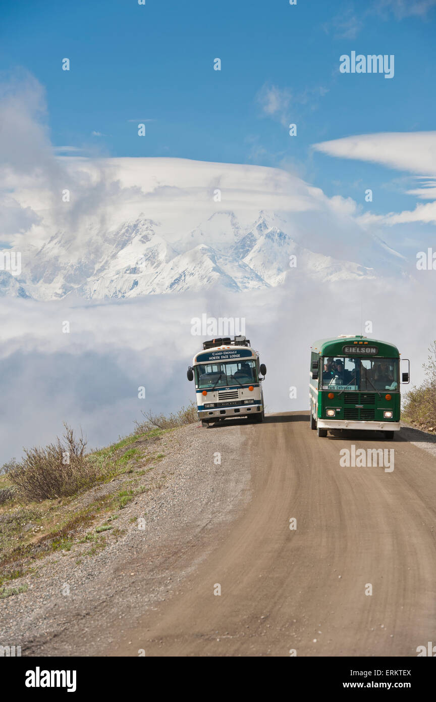 Bus,Alaska,Denali,Mount Mckinley,Alaska Range Stock Photo - Alamy