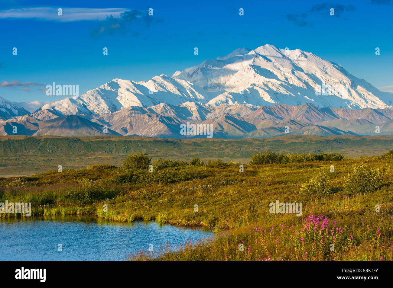 Mount denali reflection pond hi-res stock photography and images - Alamy
