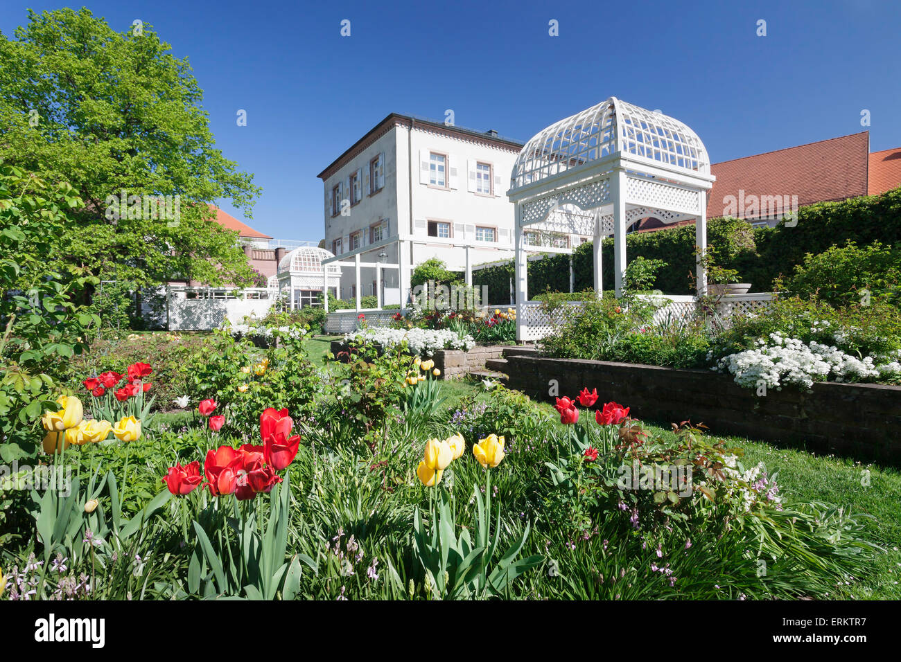 Rosengarten (rose garden) in spring, Ettlingen, Baden-Wurttemberg ...