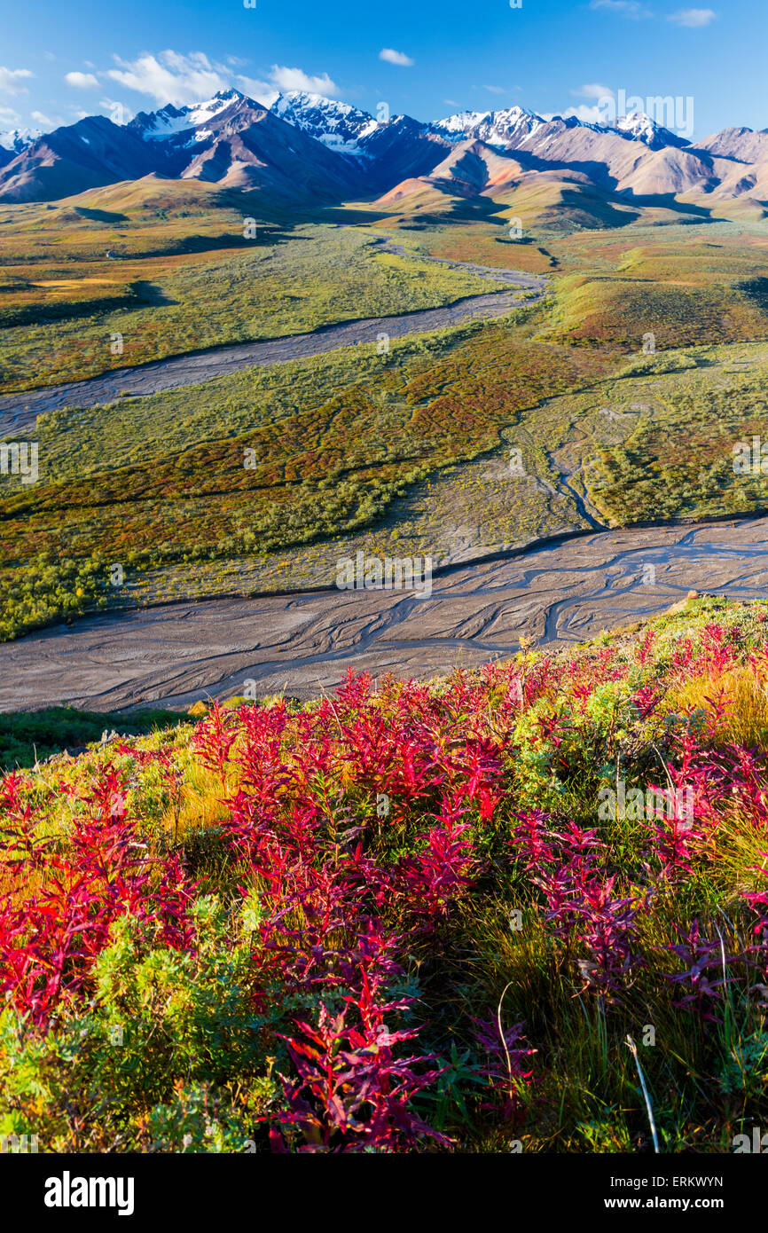 Fall colors in alpine tundra hi-res stock photography and images - Alamy