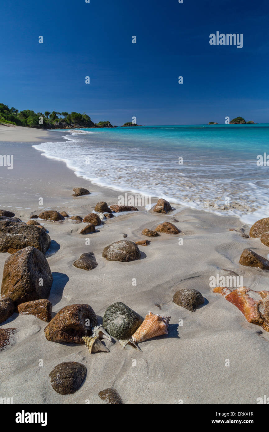 Shells and rocks lie on the beach of Spearn Bay lit the tropical sun ...