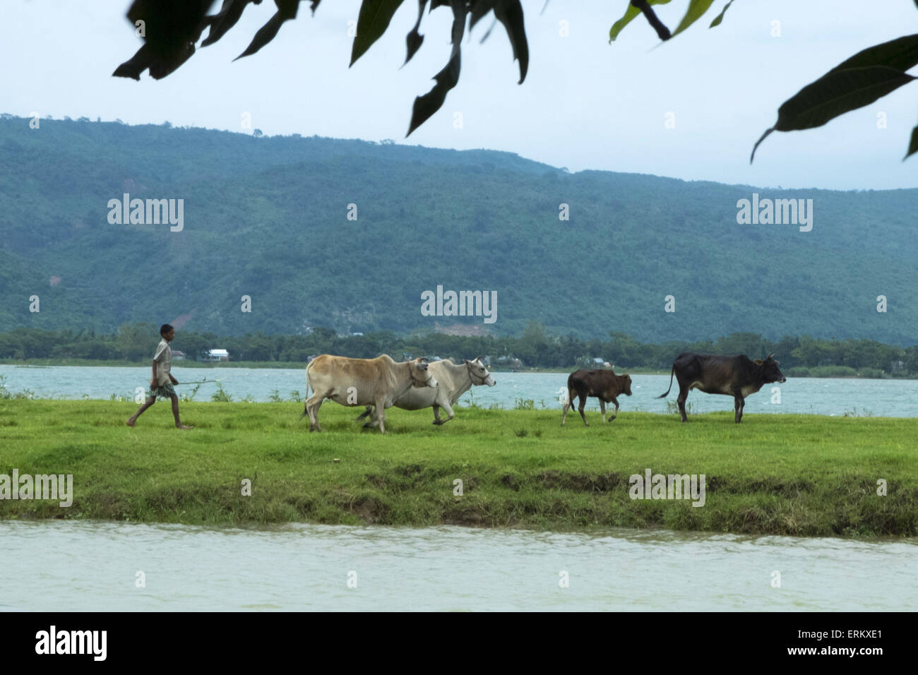 Sunamgonj bangladesh hi-res stock photography and images - Alamy