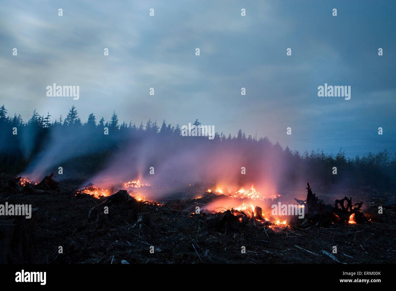 Smoke fills the air as slash fires burn due to logging in Washington ...