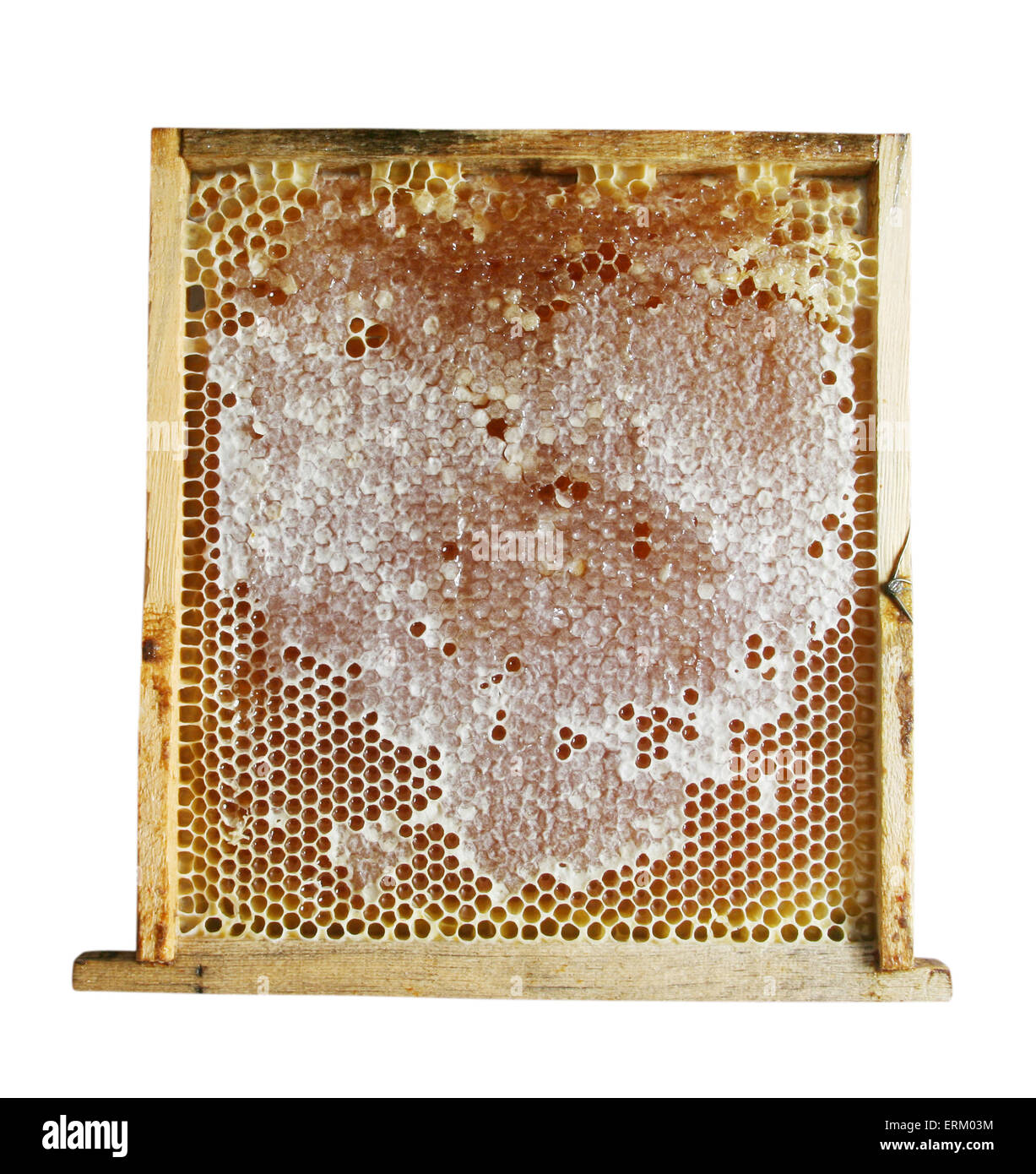 Honeycomb in a frame Cut Out Stock Images & Pictures - Alamy