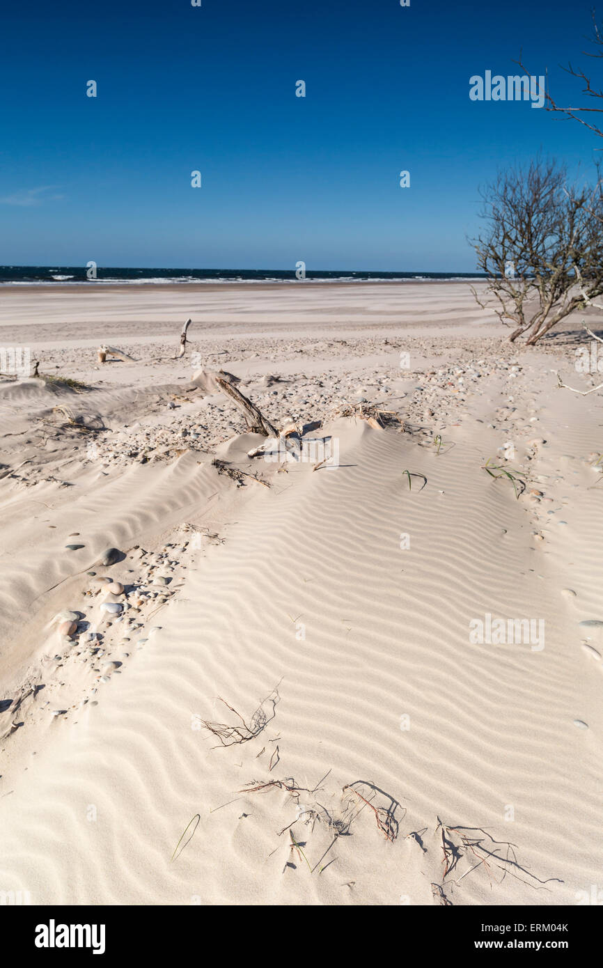 Culbin beach hi-res stock photography and images - Alamy