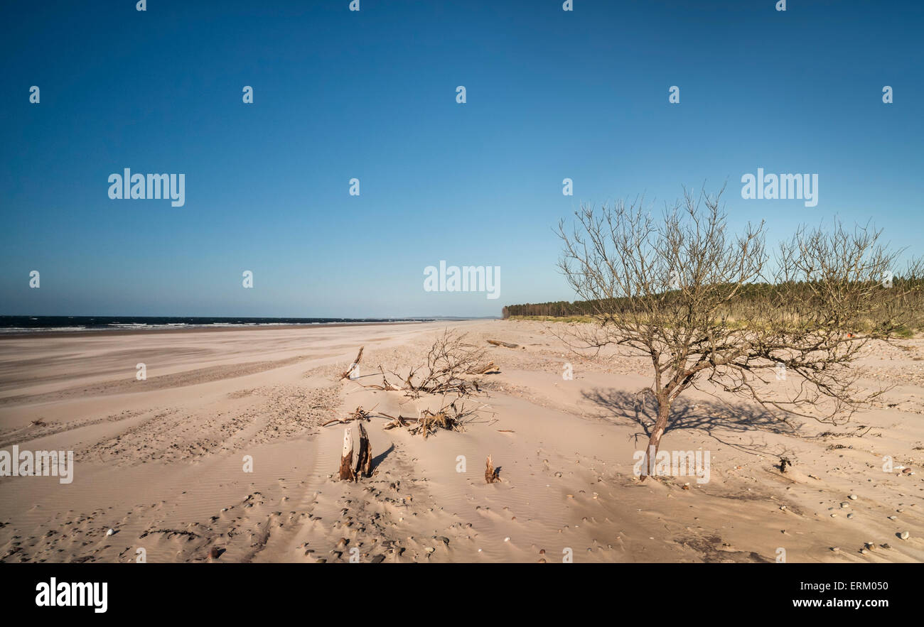 Culbin in moray hi-res stock photography and images - Alamy