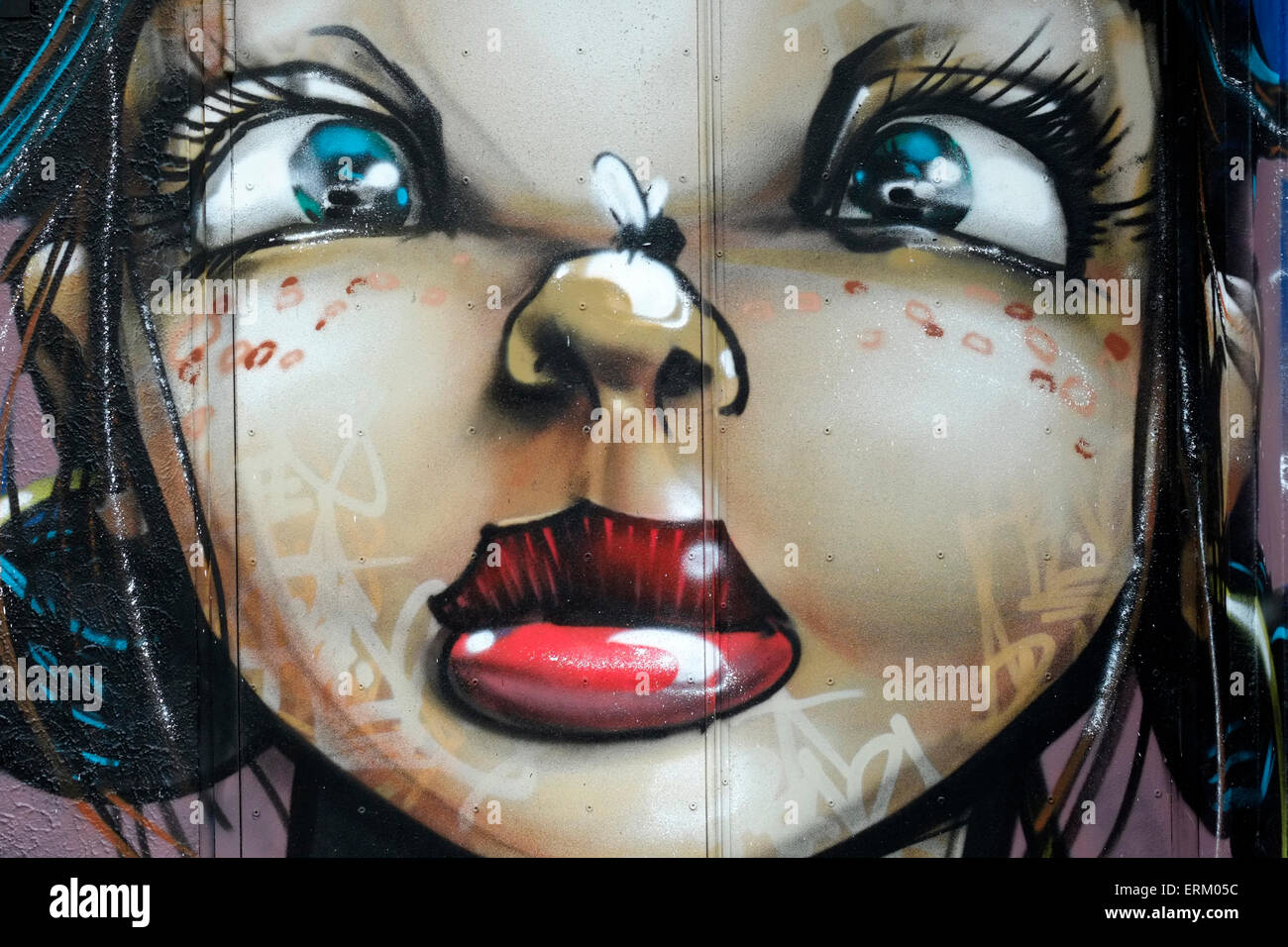 graffiti street art depicting female face with fly on her nose southsea ...