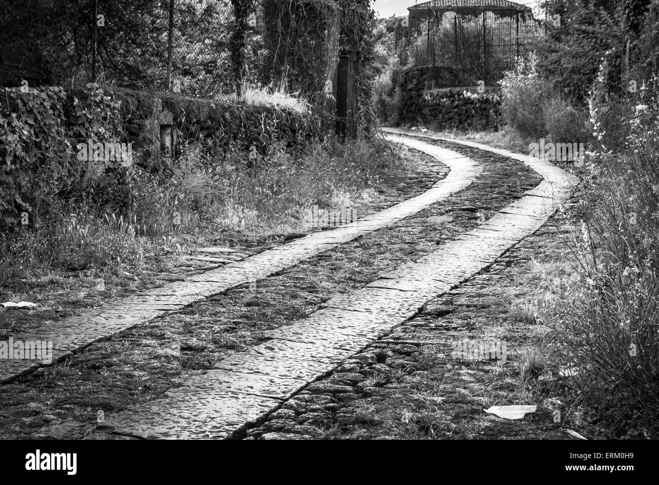 Summer, italy, road Black and White Stock Photos & Images - Alamy