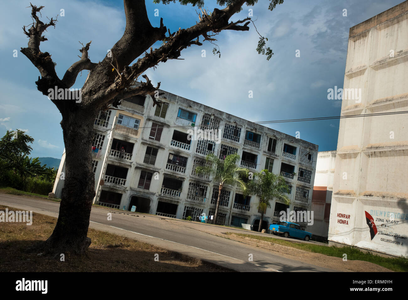 A bare tree is seen in front of the apartment blocks in Abel Santamaría ...