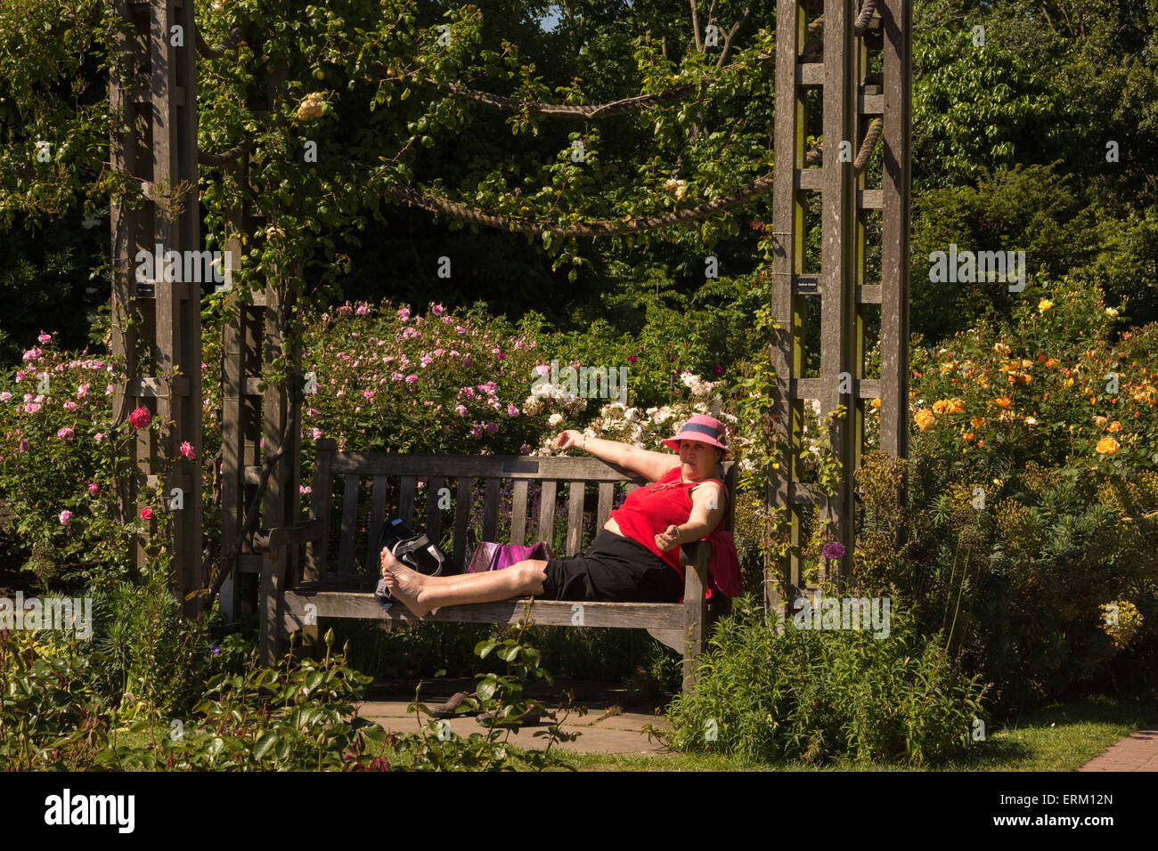 Mature woman sunbathing garden hi-res stock photography and images - Alamy