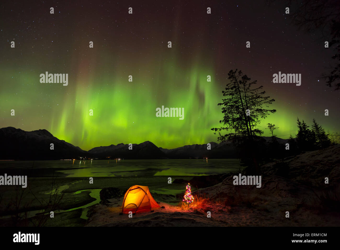 Alaska,Aurora Borealis,Christmas Tree,Stream Stock Photo - Alamy