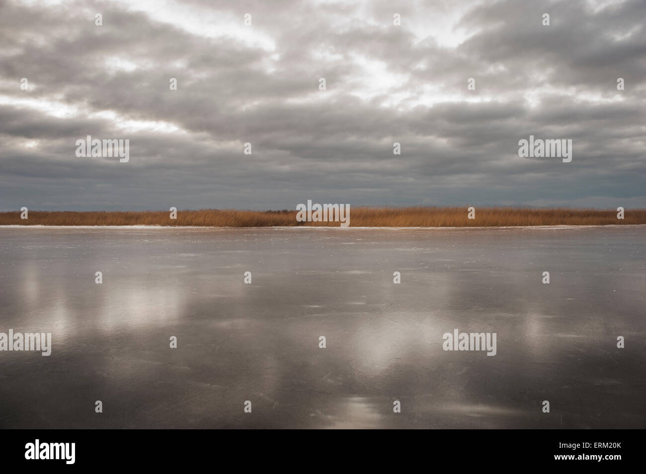 The Frozen Ringkobing Fjord Stock Photo - Alamy