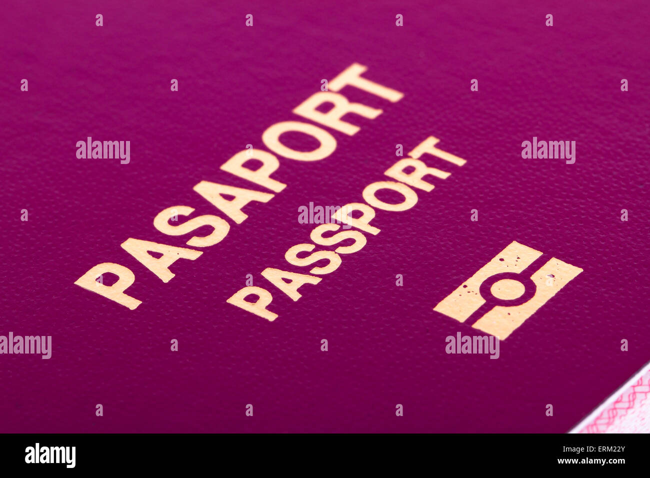 Detailed close up Turkish citizen passport, isolated on white ...