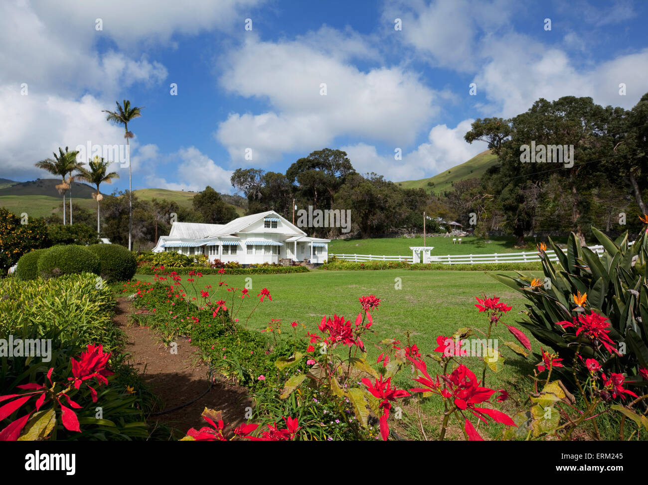South american ranchland hi-res stock photography and images - Alamy