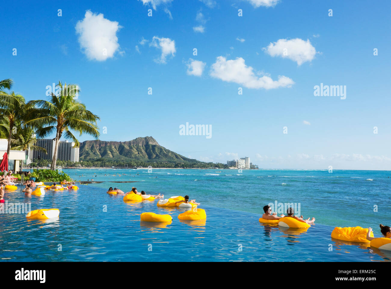 Diamond Palm Tree High Resolution Stock Photography and Images - Alamy