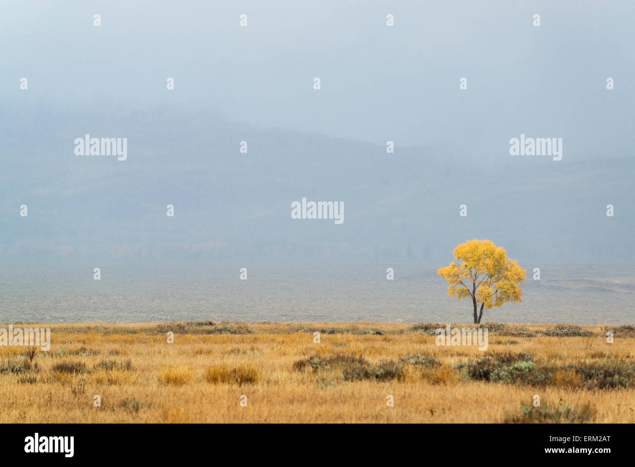 Land on a horizon hi-res stock photography and images - Alamy