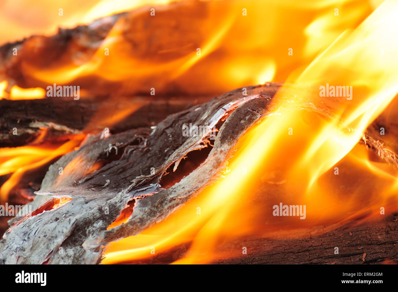 wood burning in the fire Stock Photo - Alamy