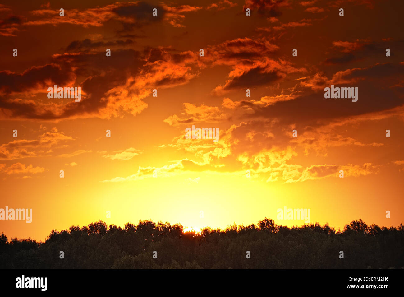 photo of sunset in forest Stock Photo - Alamy