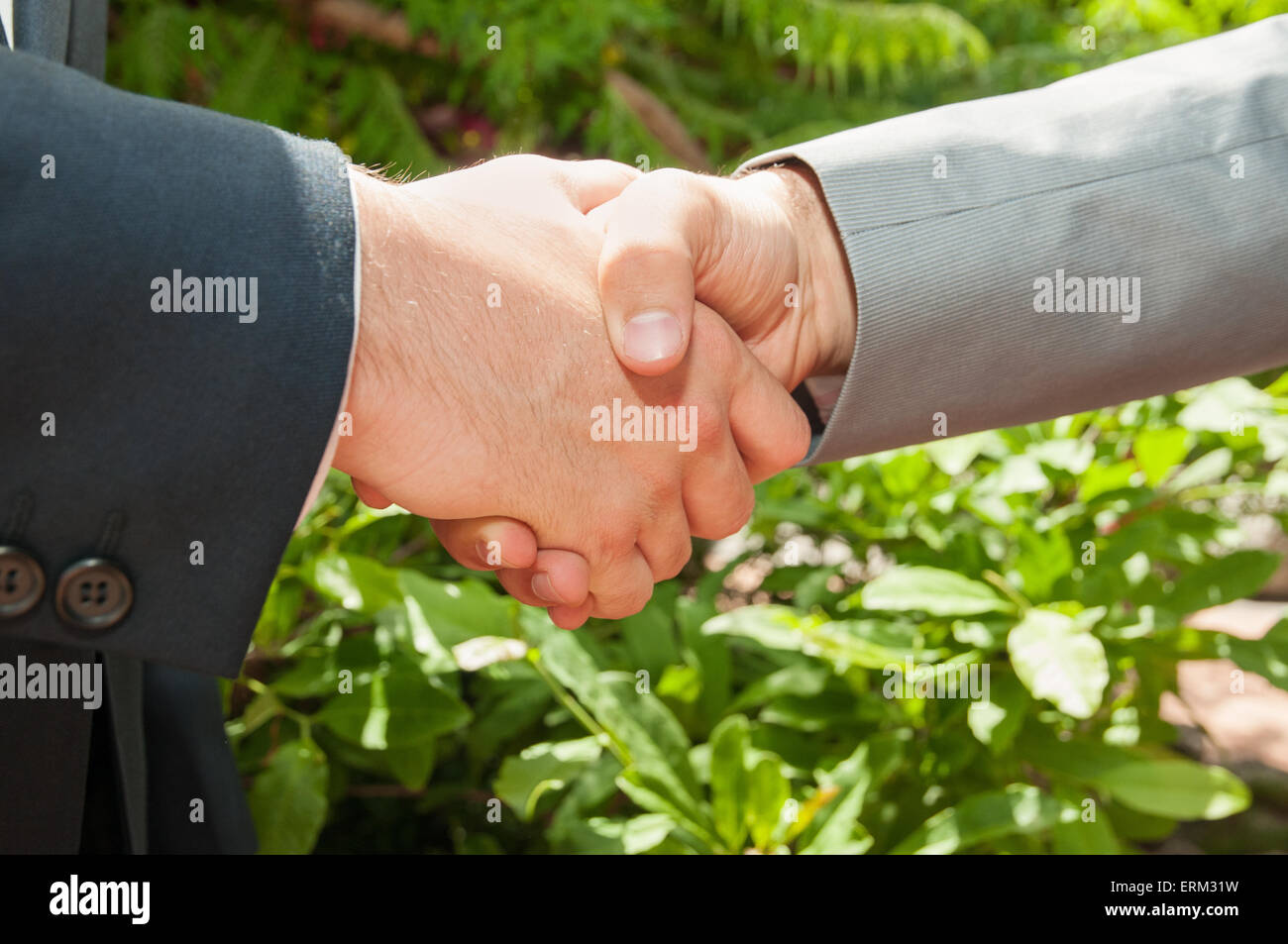 Business people partners shake hands hi-res stock photography and ...