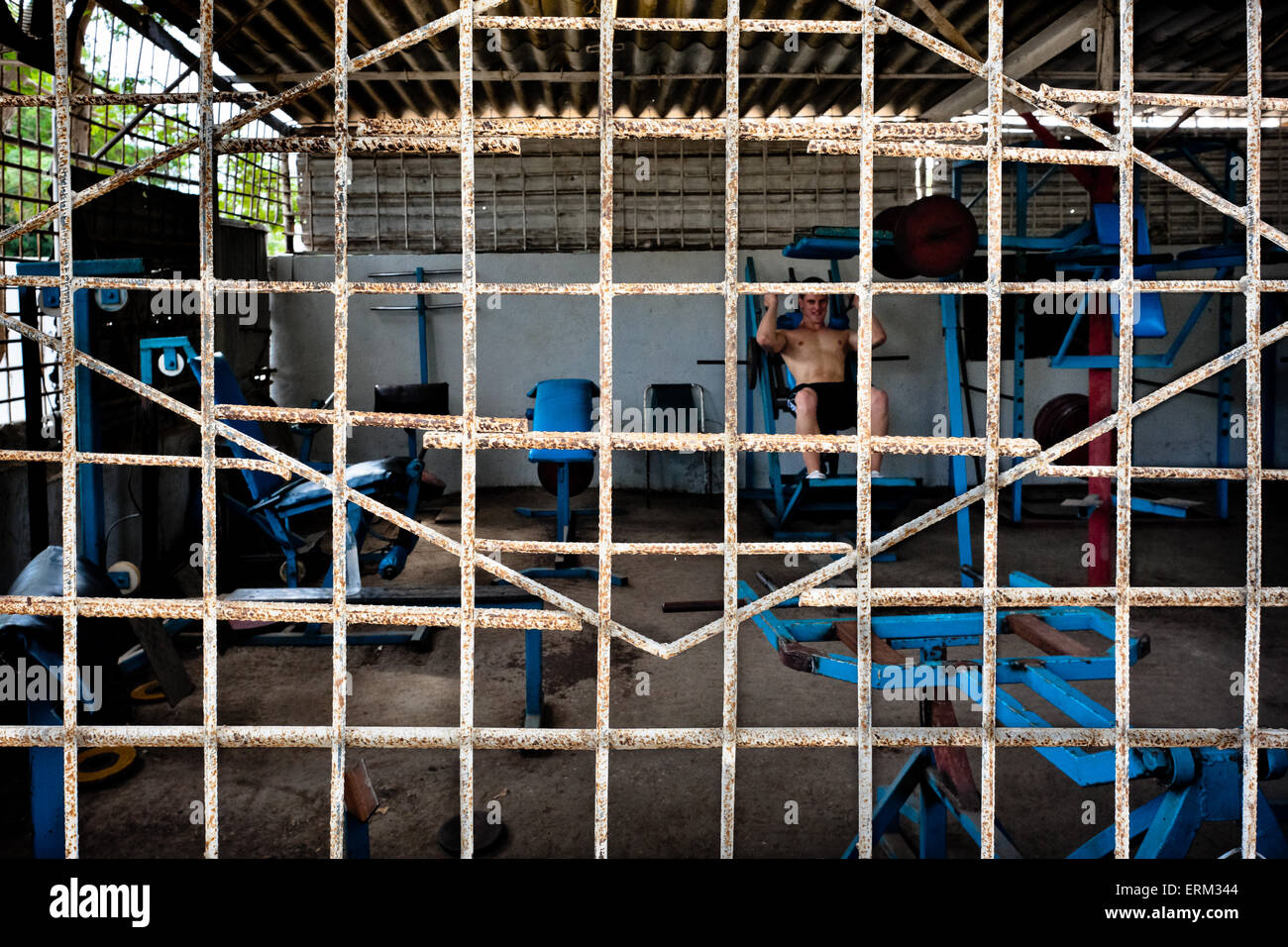 A young Cuban man trains at a bodybuilding gym in Alamar, a public ...