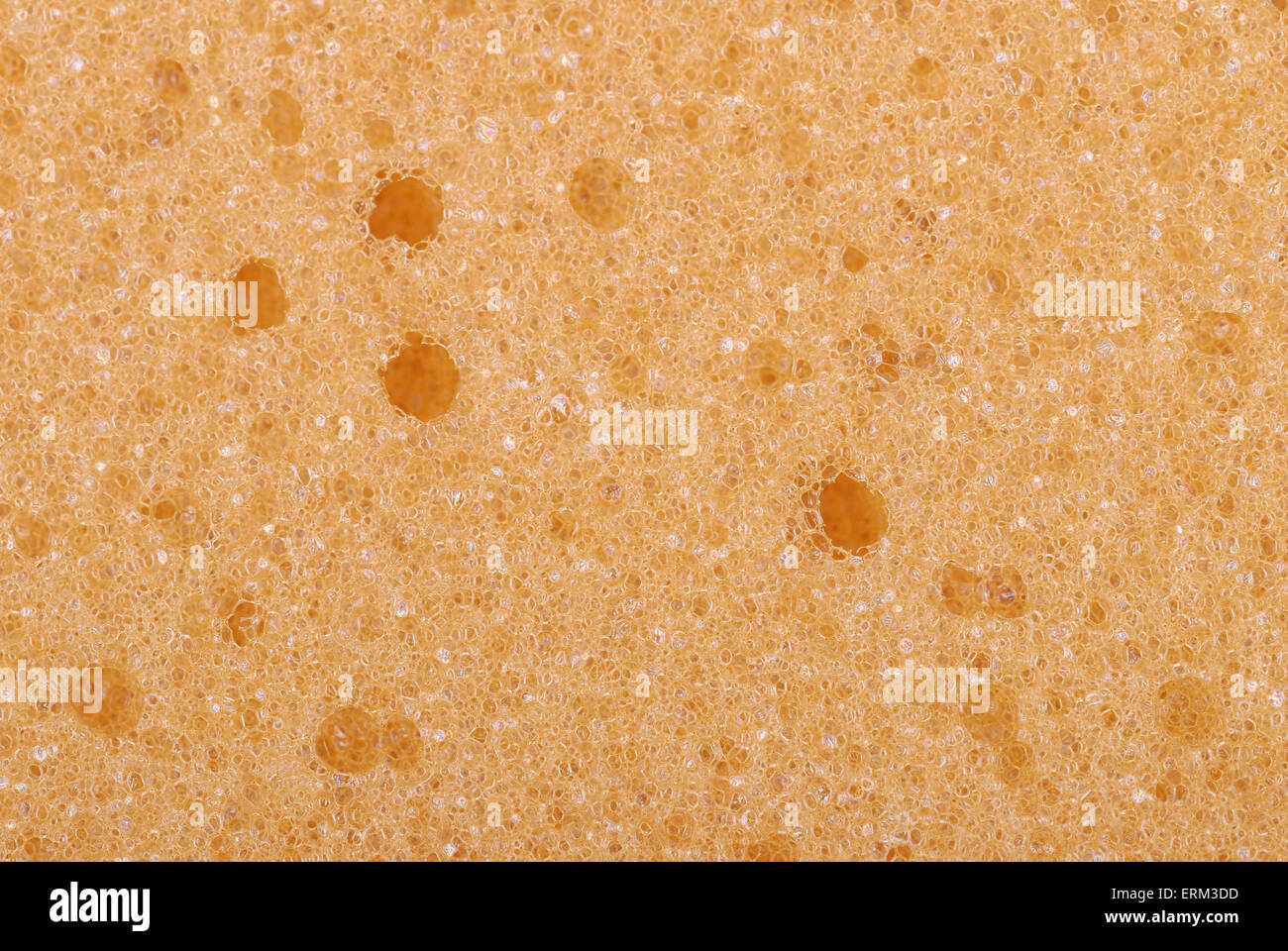 Yellow sponge macro background Stock Photo - Alamy