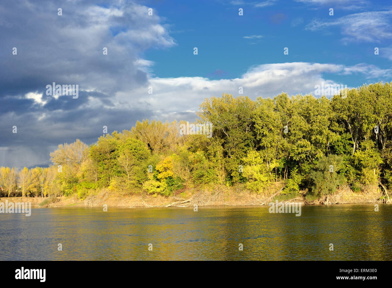bright landscape. forest, river and sky Stock Photo - Alamy