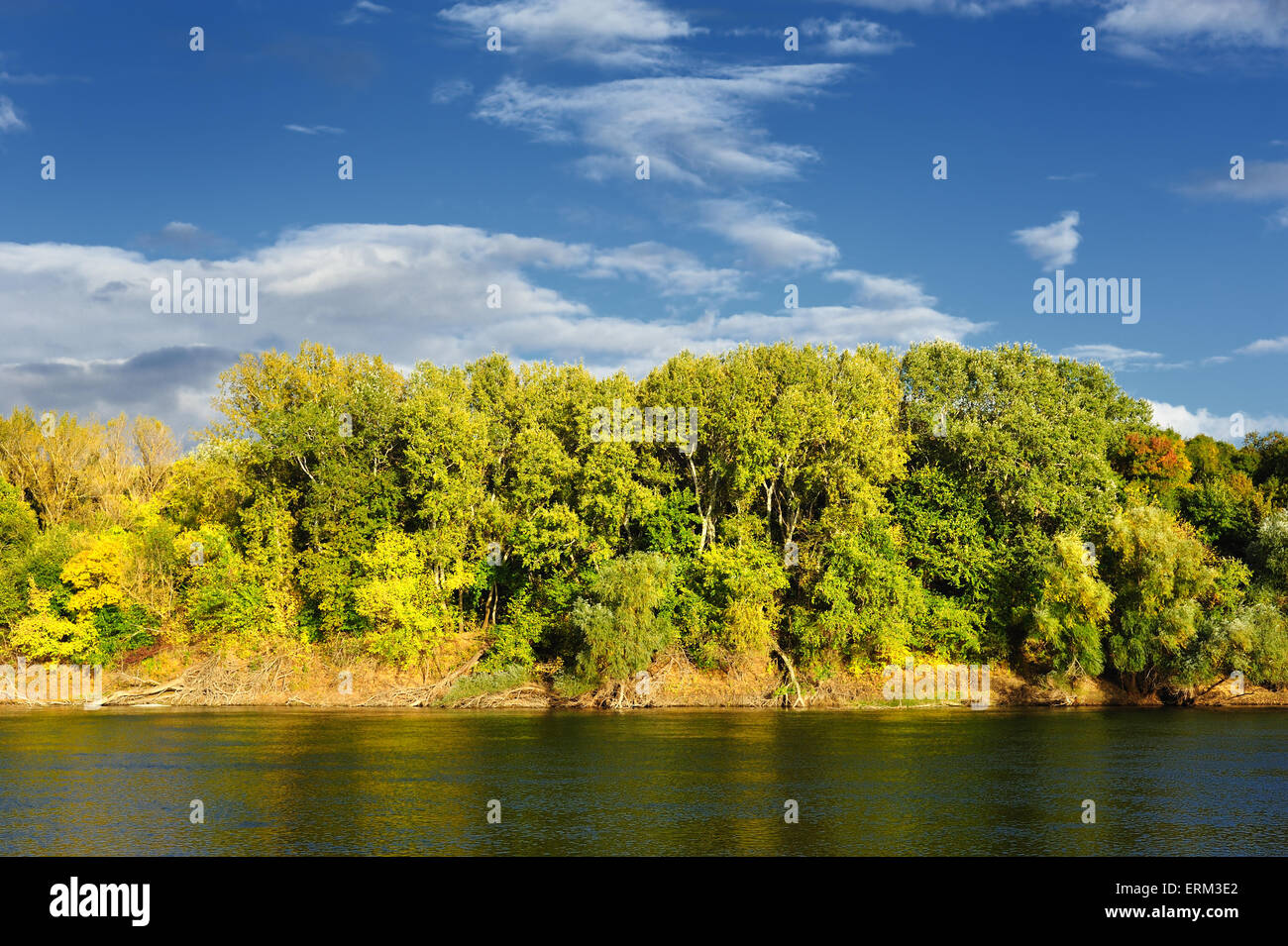 bright landscape. forest, river and sky Stock Photo - Alamy