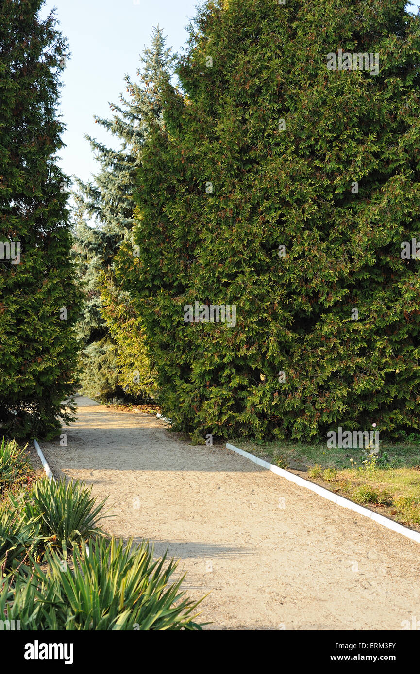 footpath in a decorative park Stock Photo - Alamy