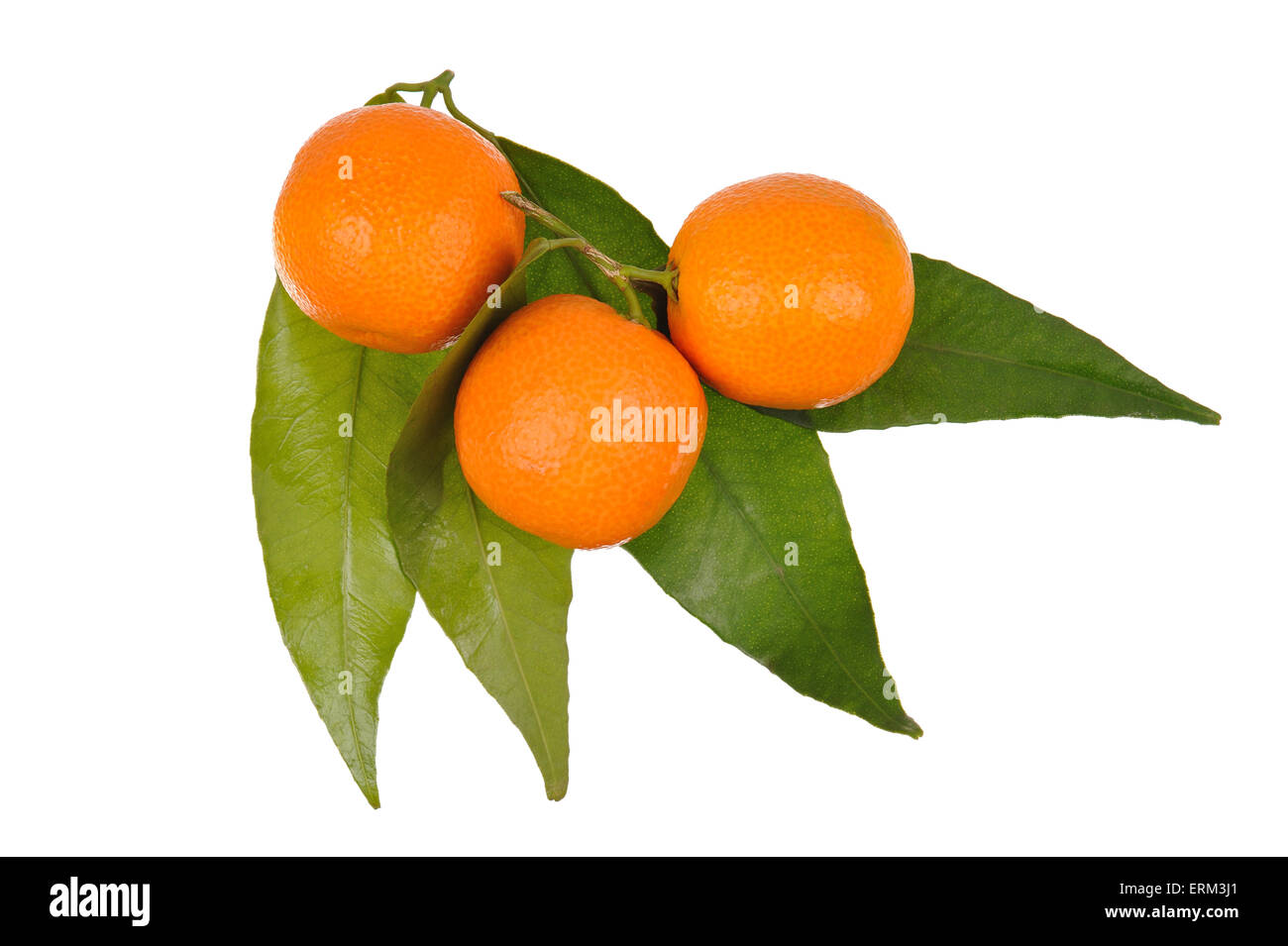 oranges with leaves isolated on white Stock Photo - Alamy