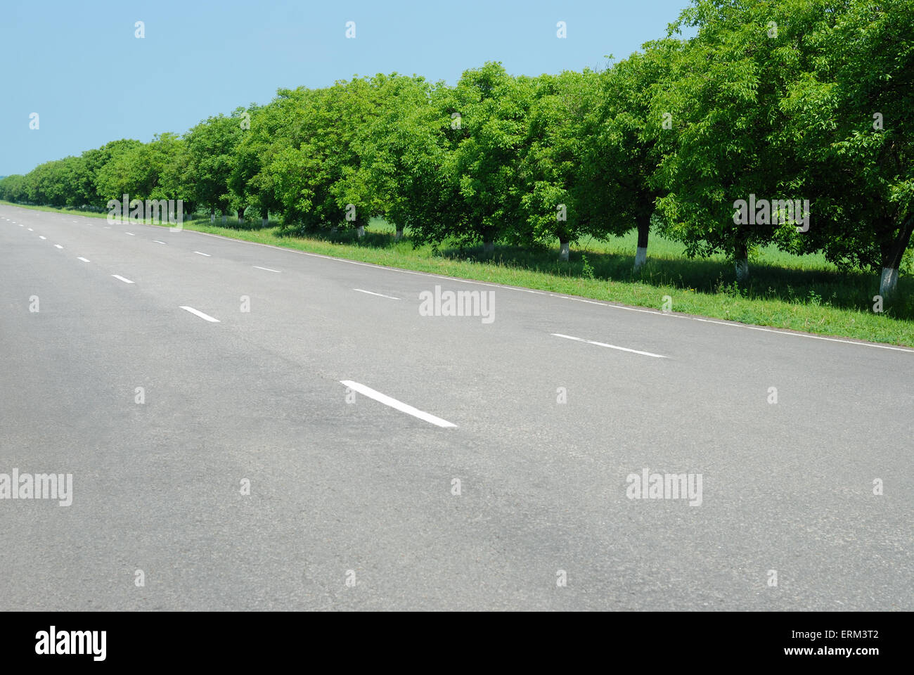 Photo of empty road Stock Photo - Alamy