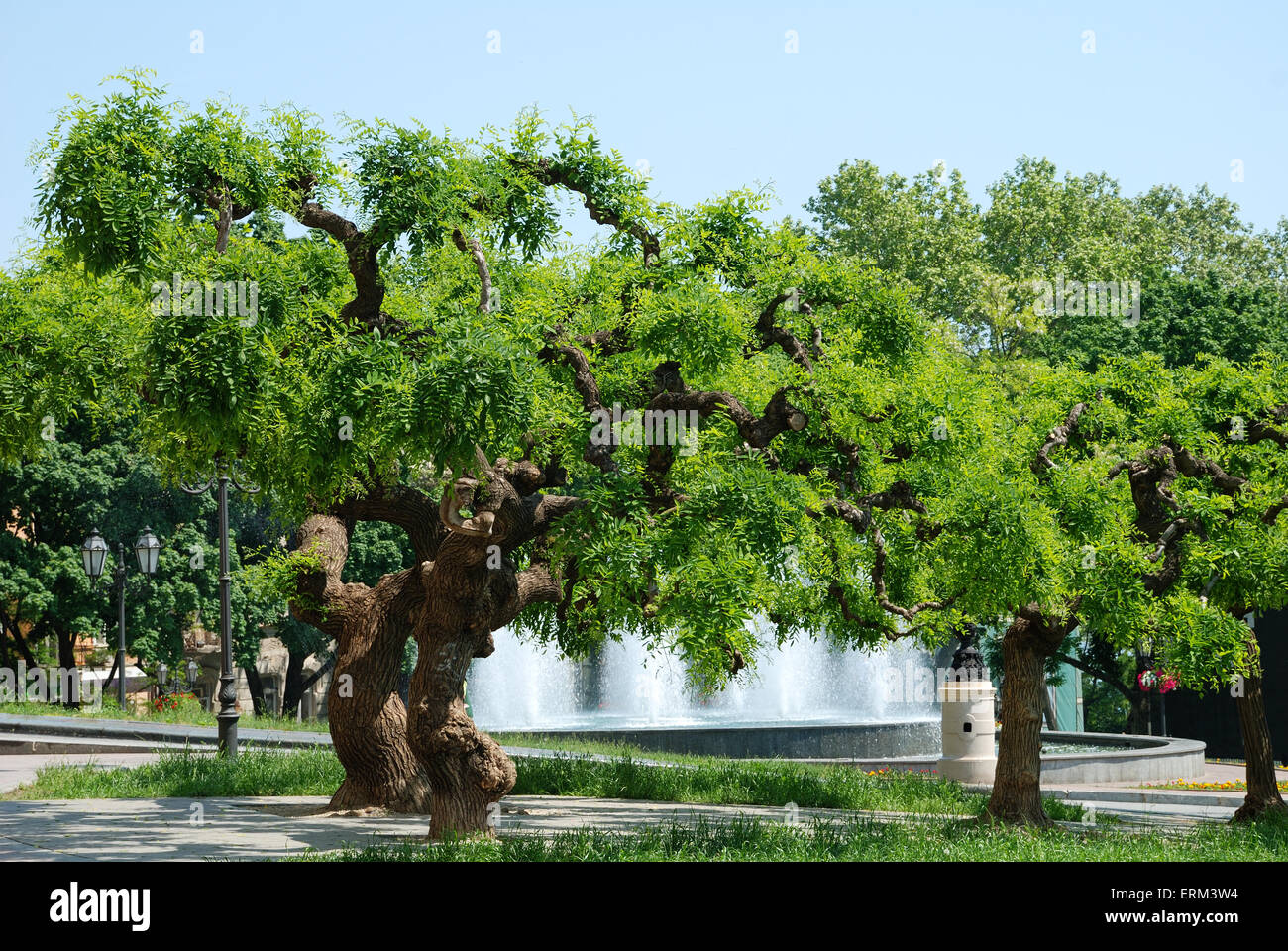 city park with trees and a fountain Stock Photo - Alamy