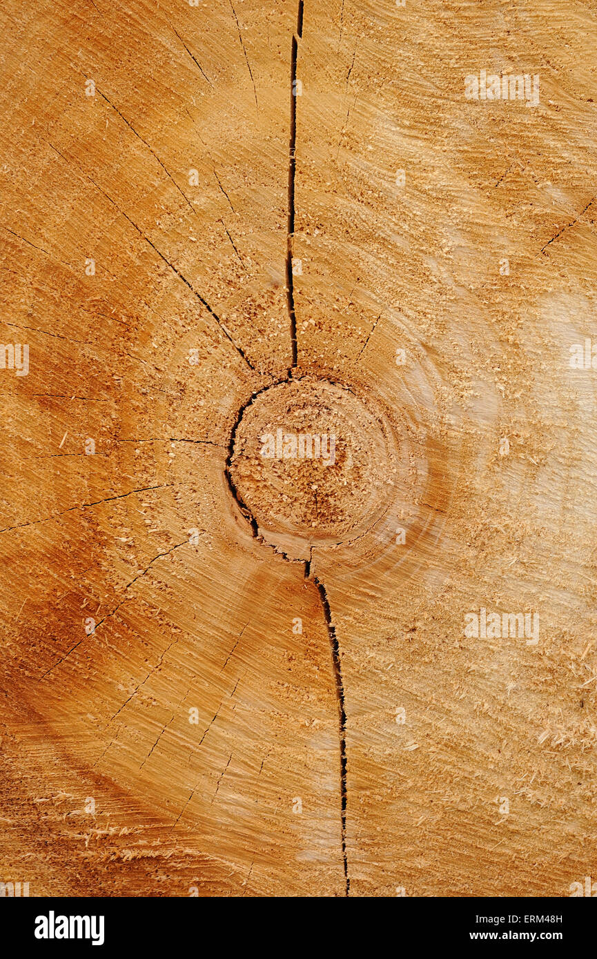 sawn wood texture as background Stock Photo - Alamy