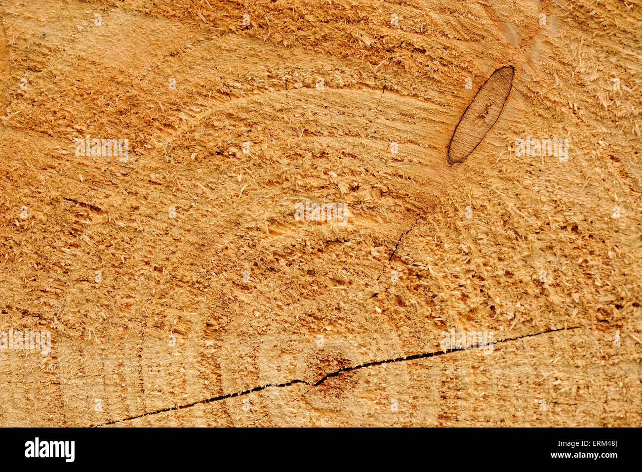 sawn wood texture as background Stock Photo - Alamy