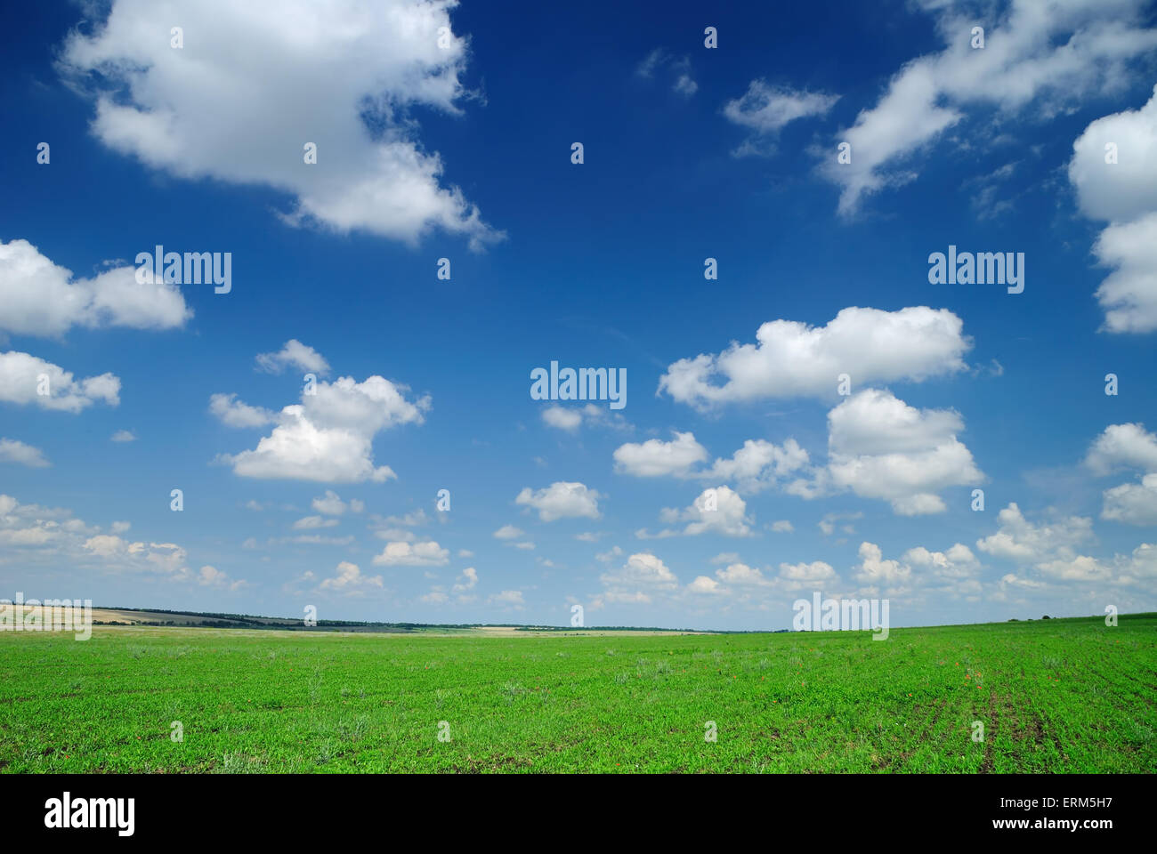 Photo of summer landscape. Cloudy sky and field Stock Photo - Alamy