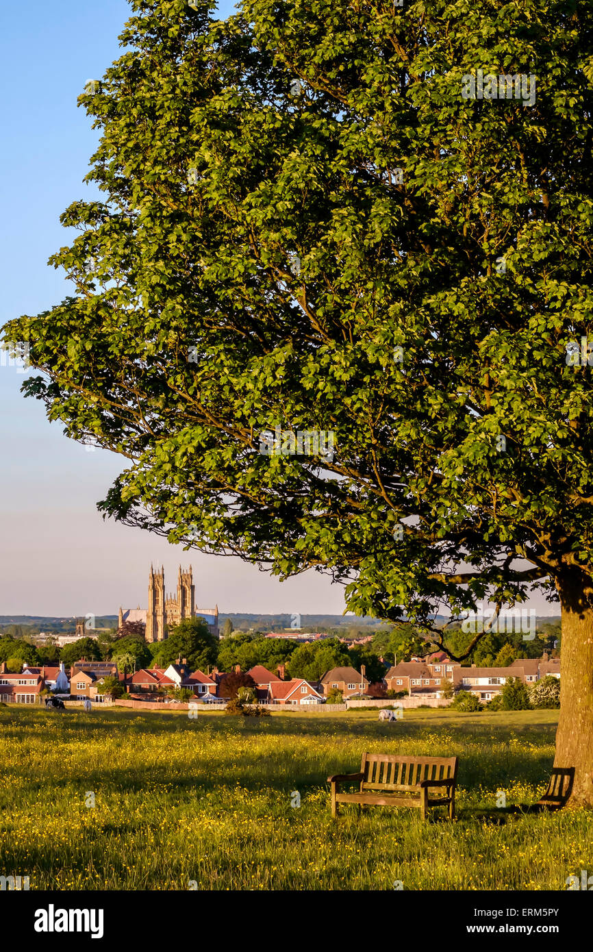 Beverley common hi-res stock photography and images - Alamy
