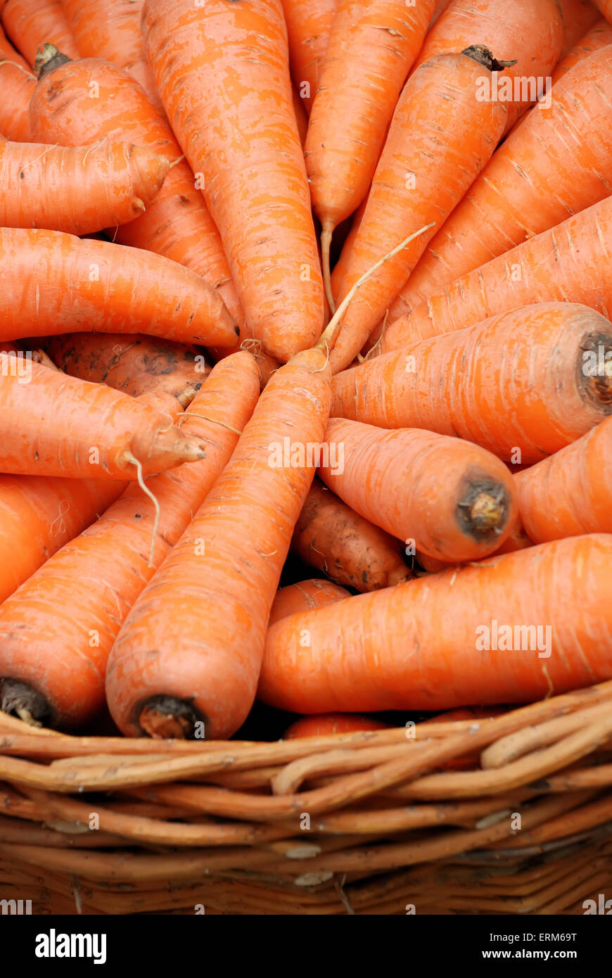 Carrots crop in a basket as background Stock Photo - Alamy