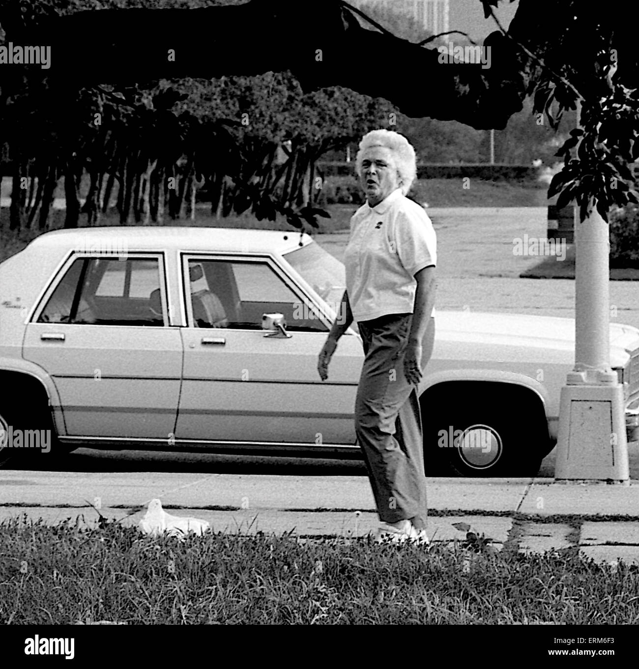 Chicago, Illinois 8-22-1988 Second Lady Barbara Bush goes jogging with ...