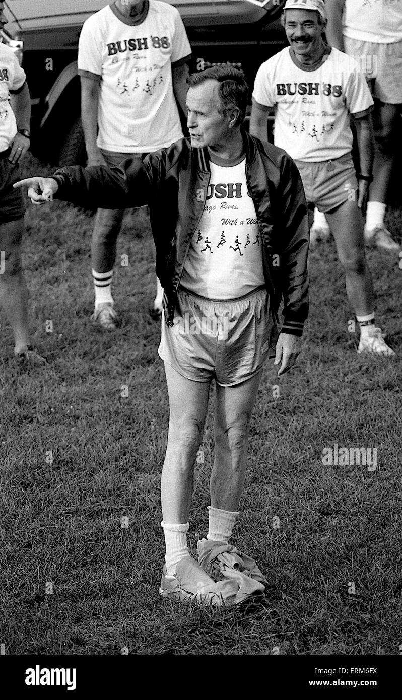 See thru ruler hi-res stock photography and images - Alamy