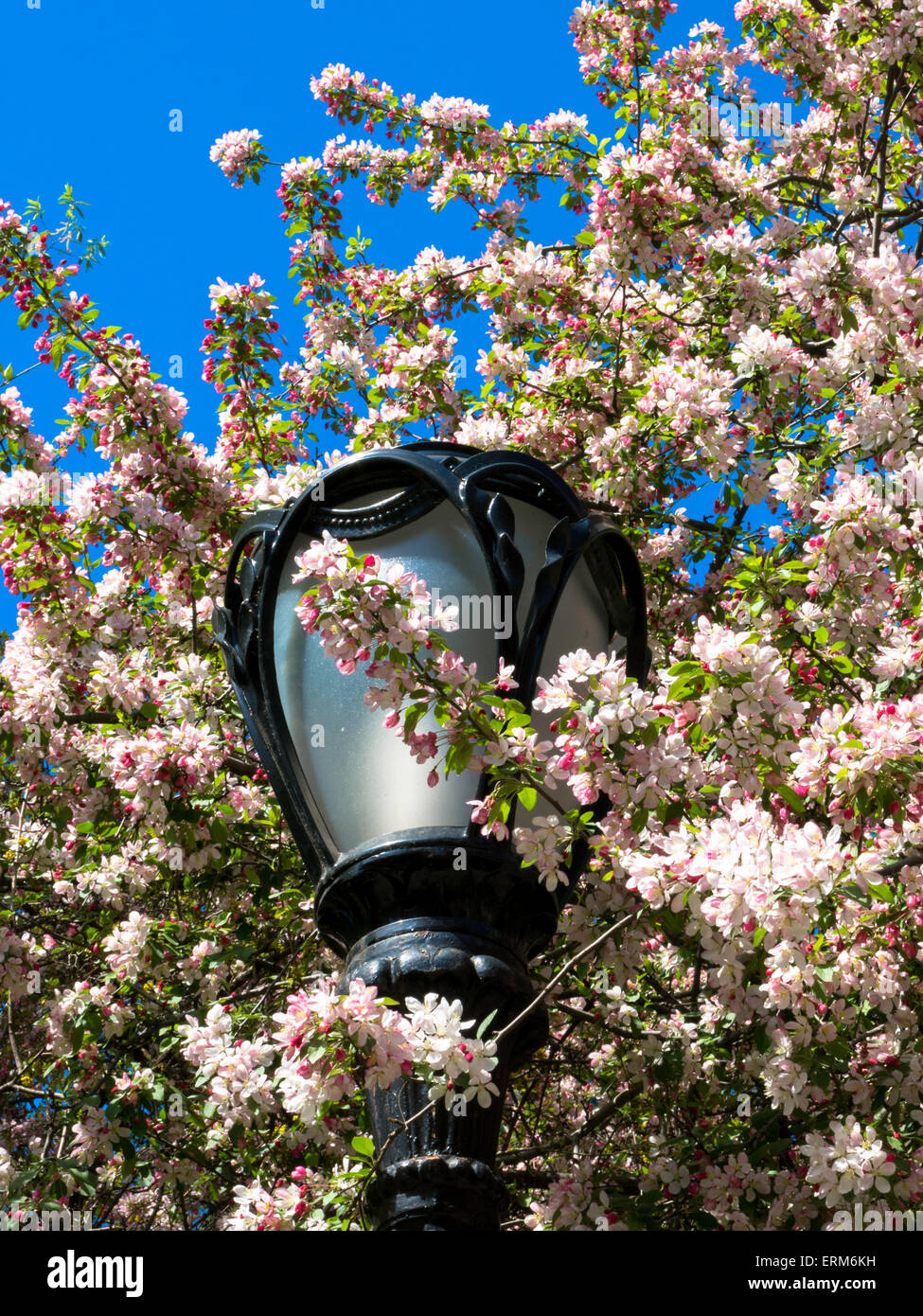 Cast iron lamp post hi-res stock photography and images - Alamy