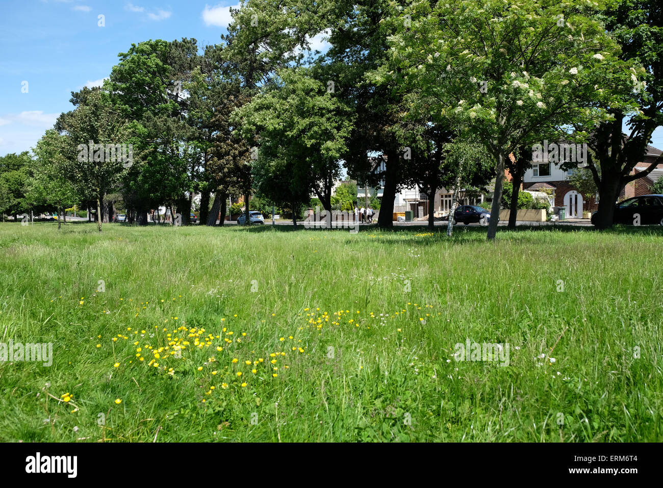 Overgrown verges hi-res stock photography and images - Alamy